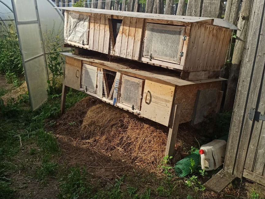 Клетки для кроликов