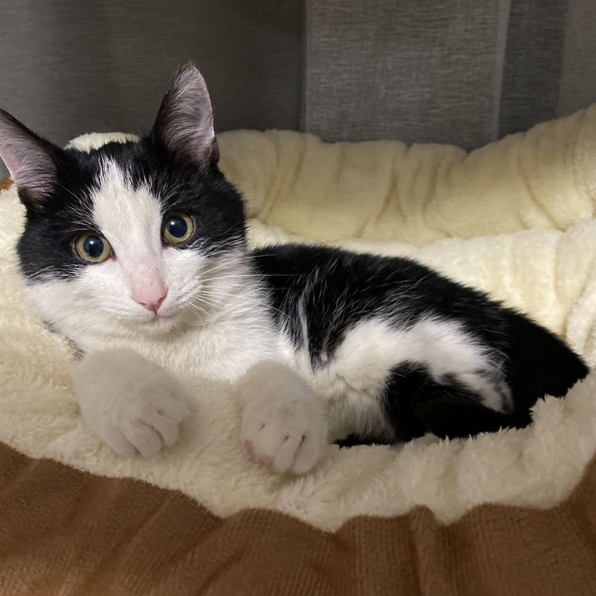 Красавчик мальчишка 4 мес