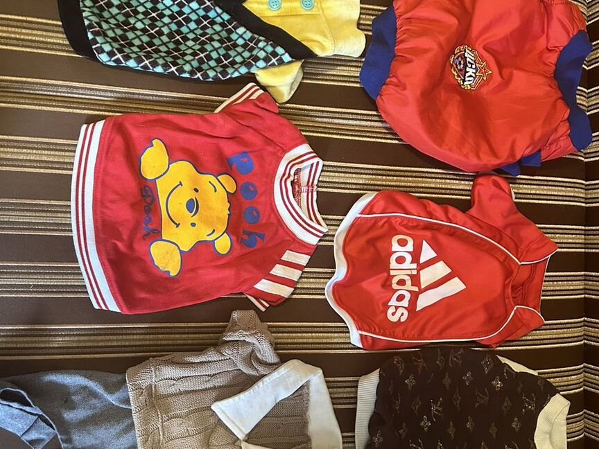 Одежда для мелких собак б/у