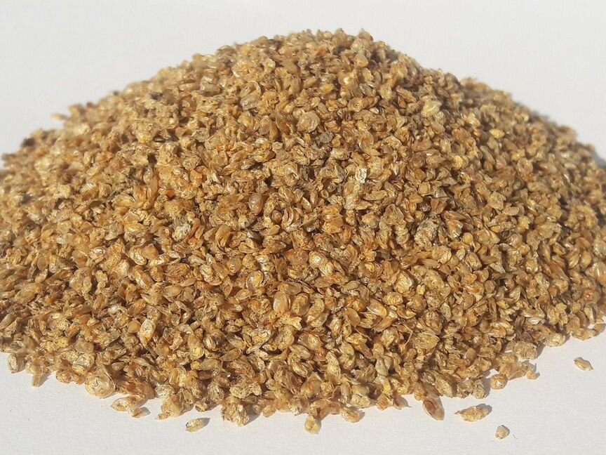 Дафния сухая