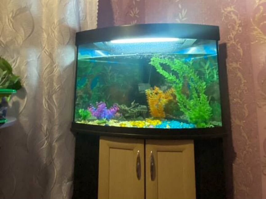 Аквариум под ключ