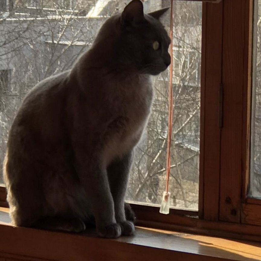 Ищу своего человека