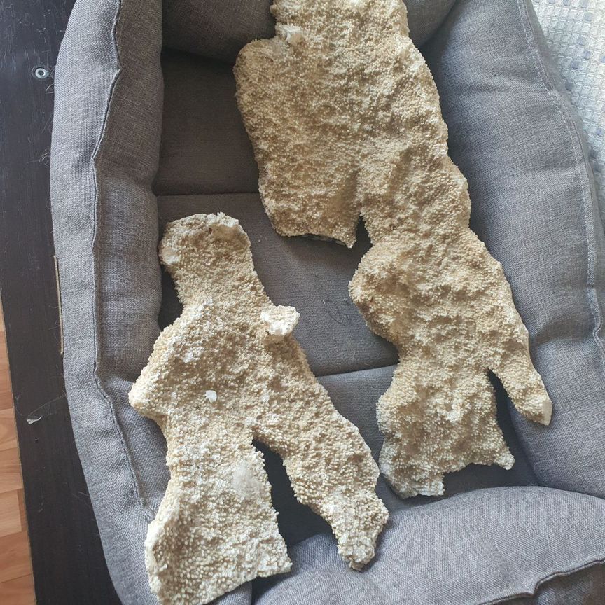 Морской камень