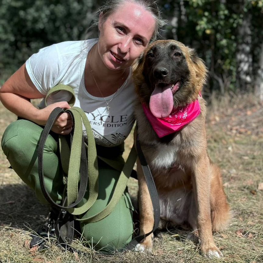 Шенок из приюта Некрасовка