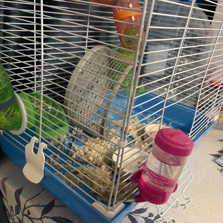 Клетка для хомяка с хомиком