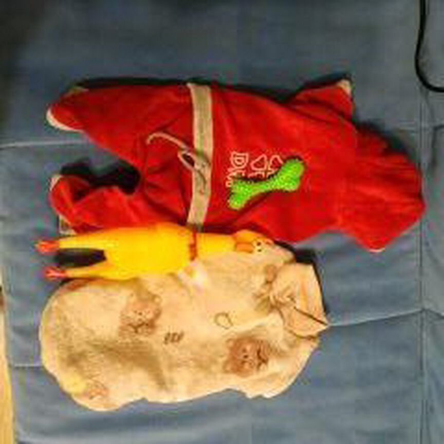 Для Баксика