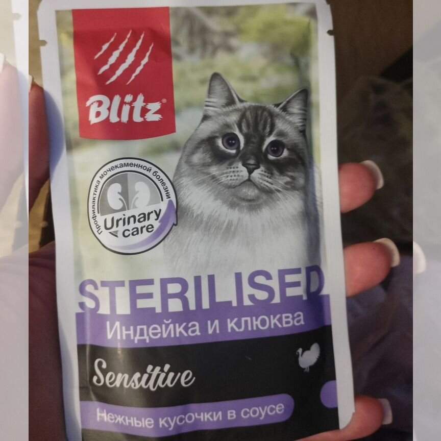 Влажный корм для кошек