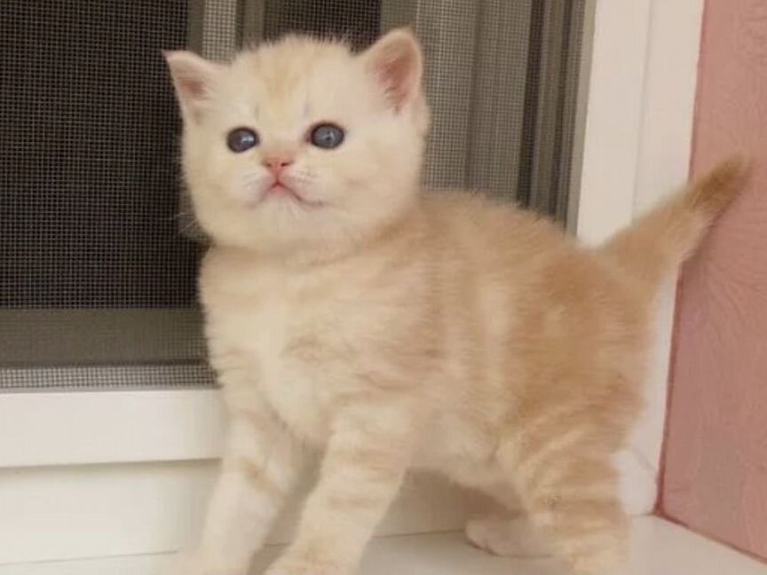 Реальные пацаны