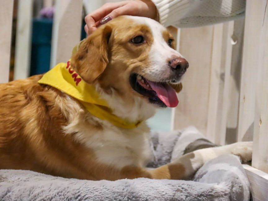 Джек в поисках любви