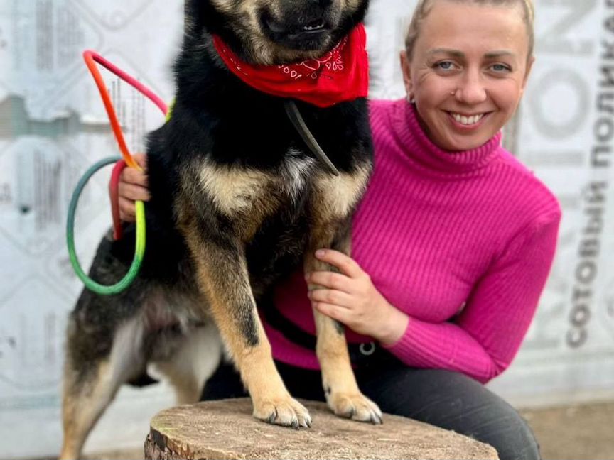 Верный друг в приюте очень ждет родителей