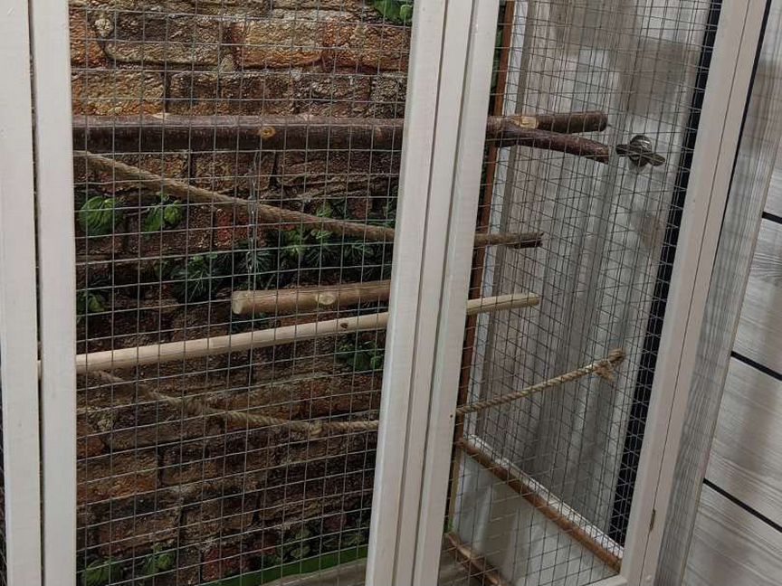 Клетка для попугая