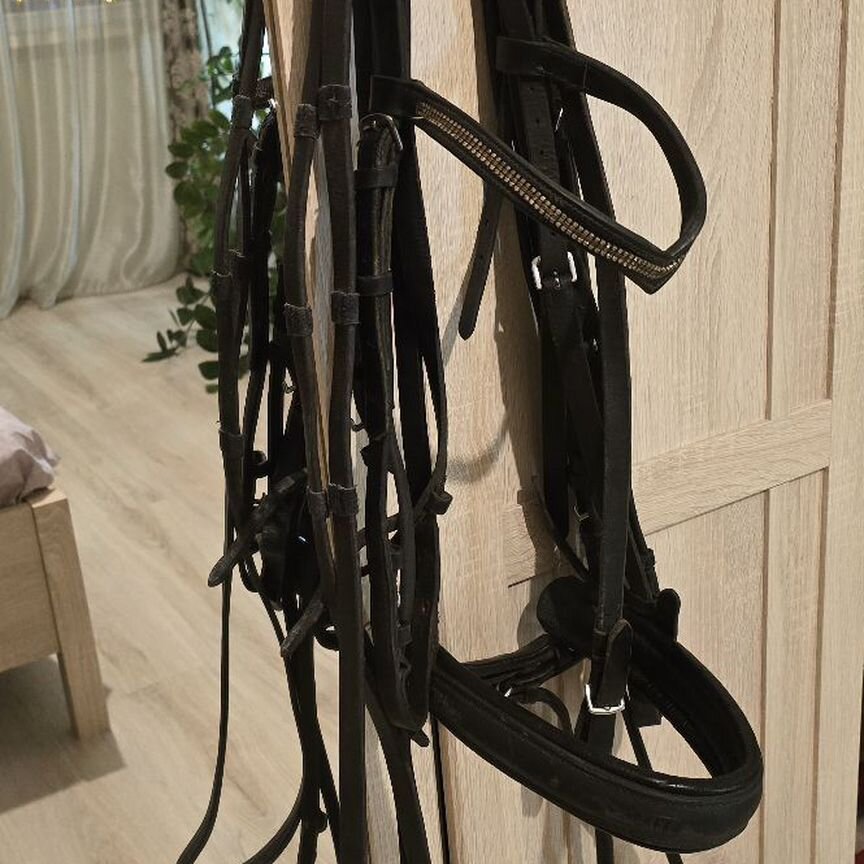 Оголовье для лошади