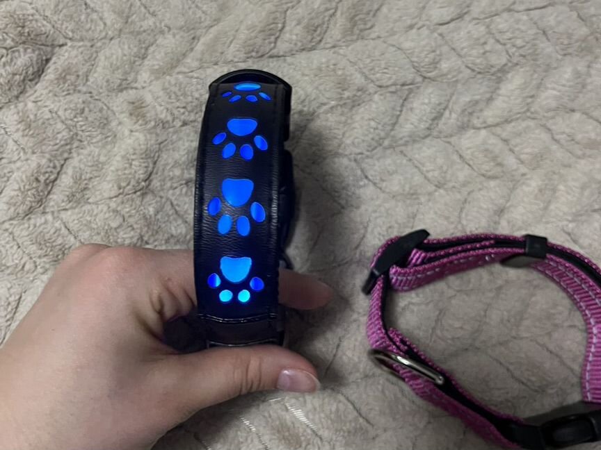 Ошейник для собак