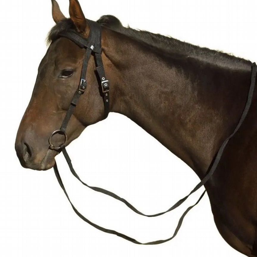 Уздечка для лошади full с трензелем и поводом