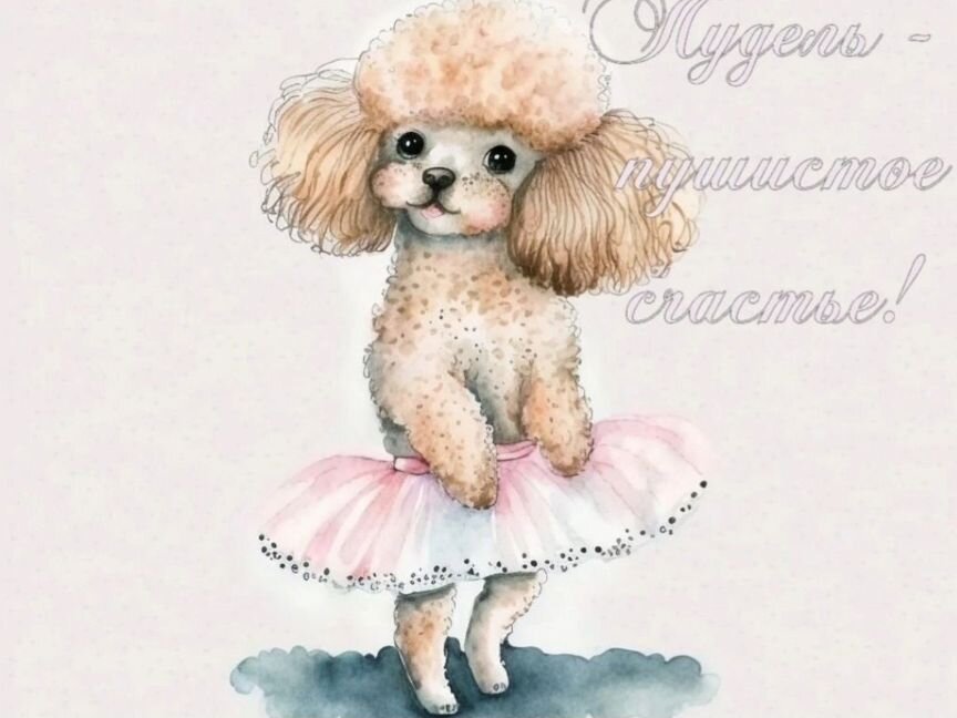 Карликовый пудель