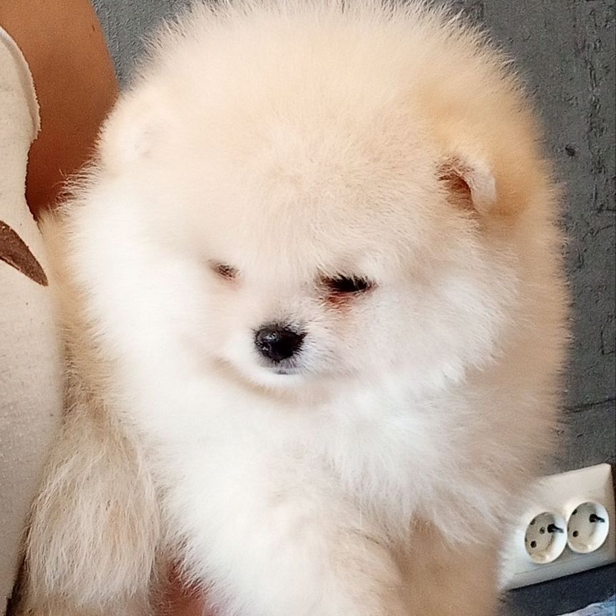 Красавец мужчина