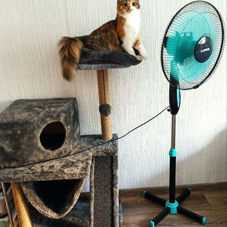 Кошачий домик с когтеточкой бу