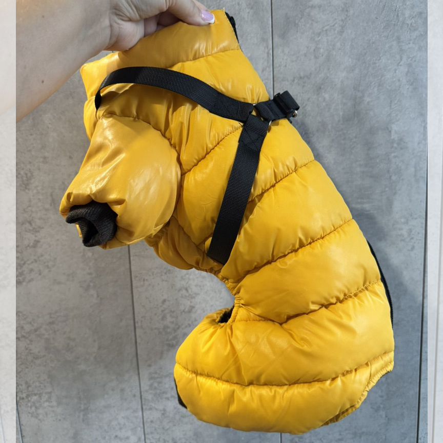 Одежда для собак