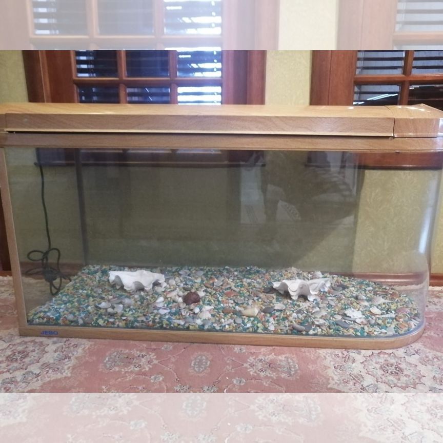 Аквариум