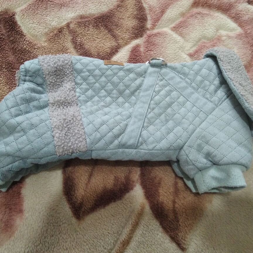 Дубленка для маленькой собаки