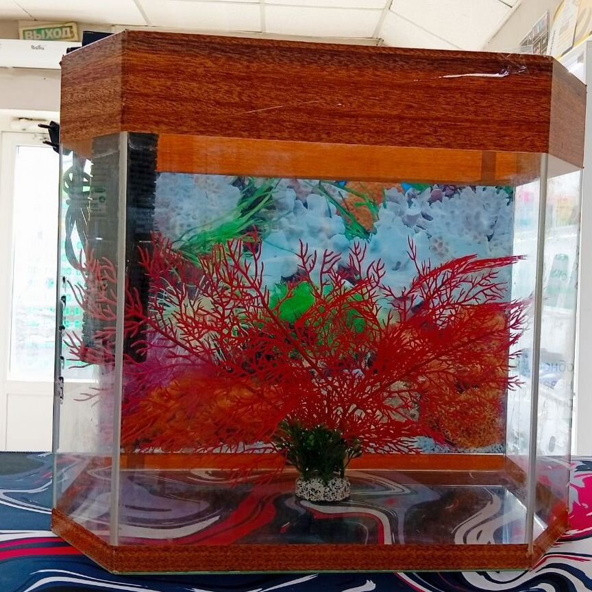 Аквариум Стеклянный с фильтром и светильником