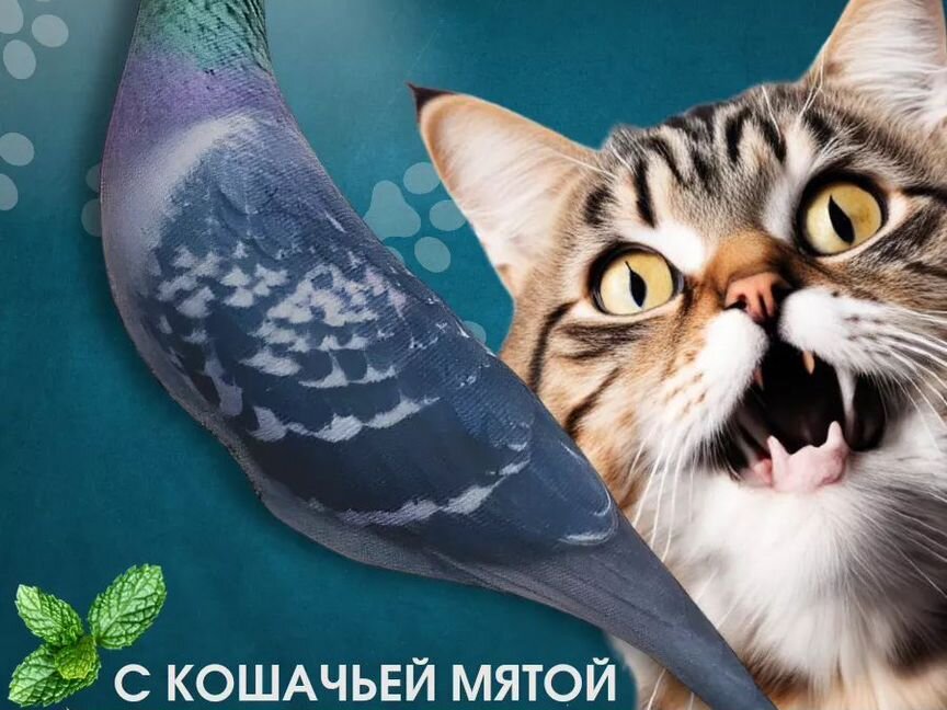 Голубь с мятой