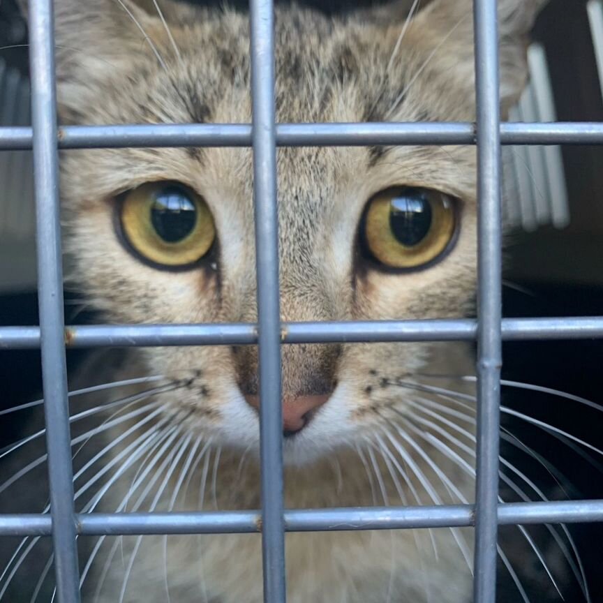 Бездонные глаза