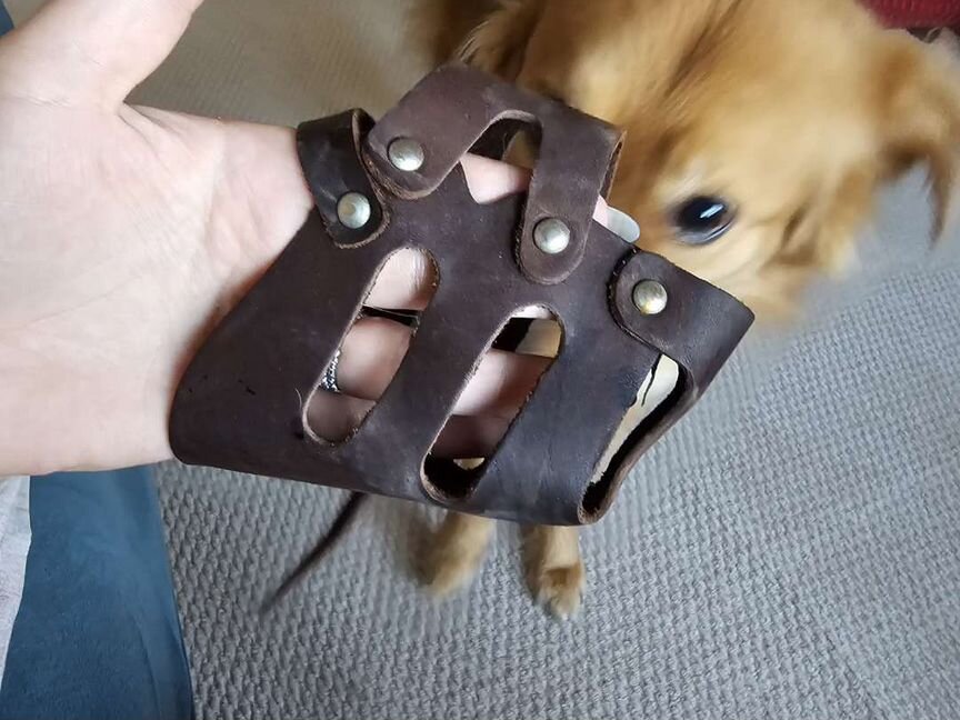 Намордник для средней собаки