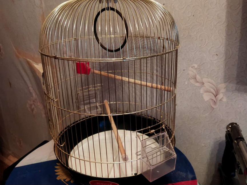 Клетка для попугая