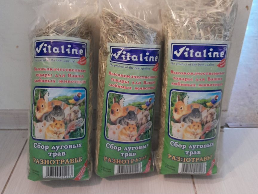 Сено для грызунов отдам