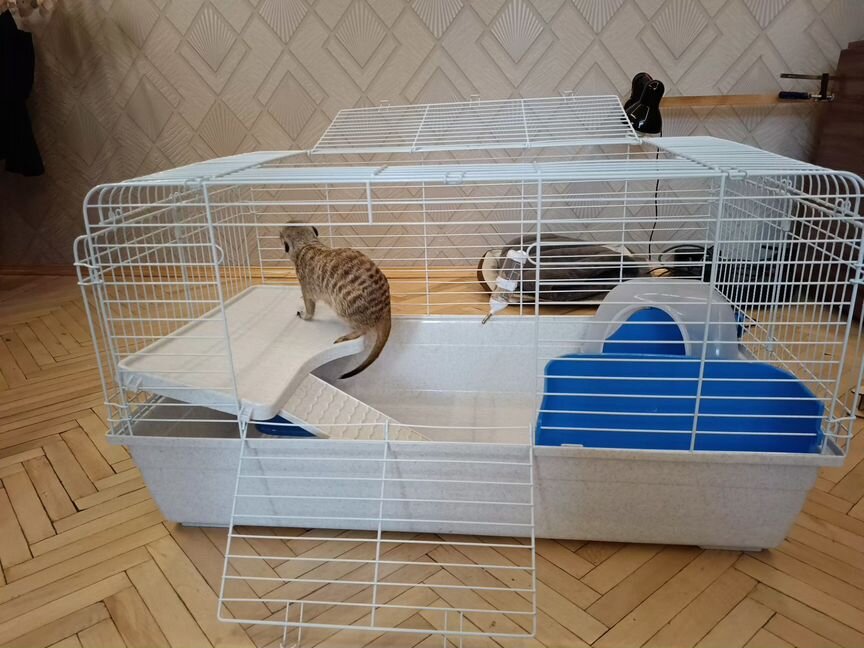 Клетка для кролика большая