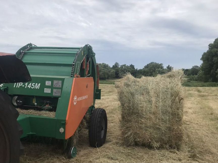Продам сено в тюках круглые