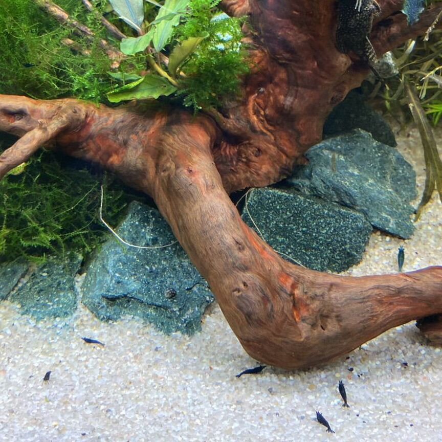 Камни для аквариума габбро диабаз