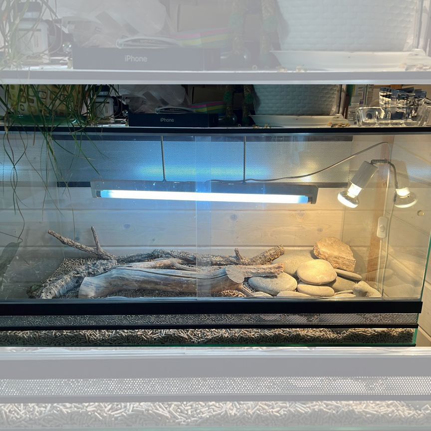 Большой горизантальный террариум 100х50х50