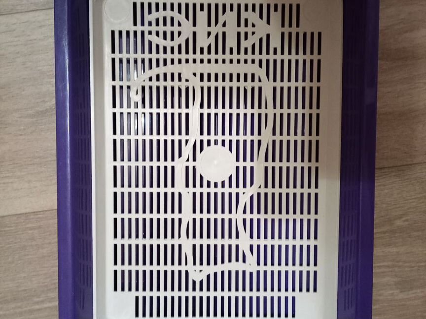 Лоток для котят