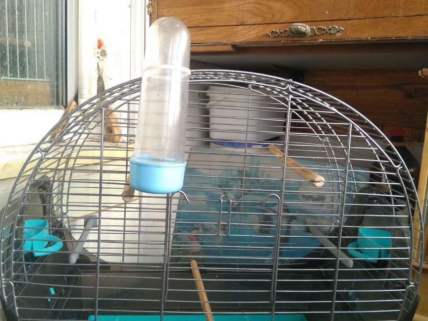 Клетка Ferplast