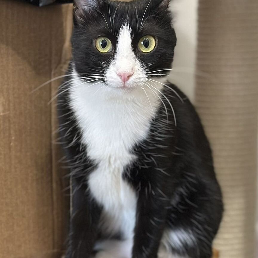 Максим в самые надёжные руки