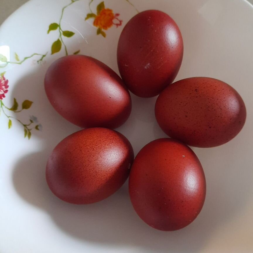 Инкубационное яйцо Марана черно-медного