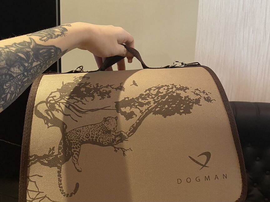 Кошачья переноска