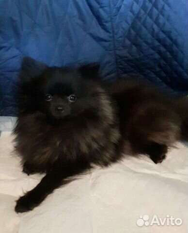 Красивый паренёк