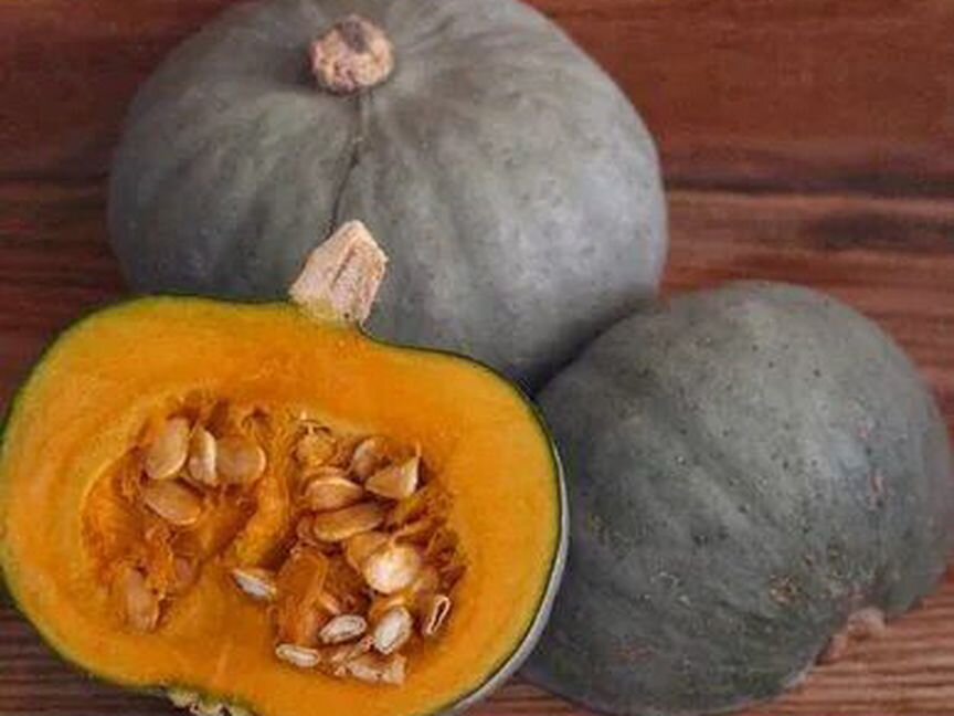 Тыква серая