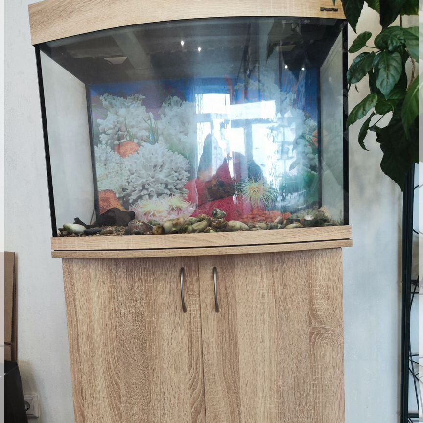 Аквариум с тумбой