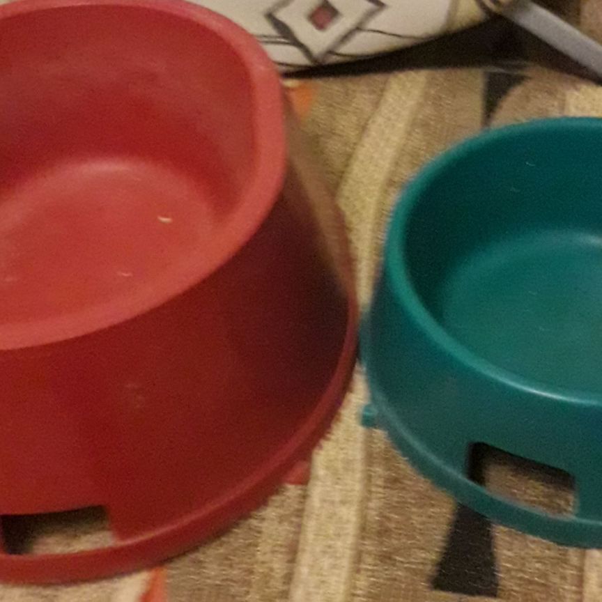 Миски для собак