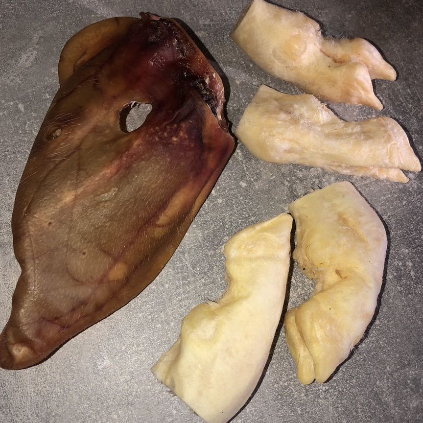 Свиное ухо и копыто. Поводок