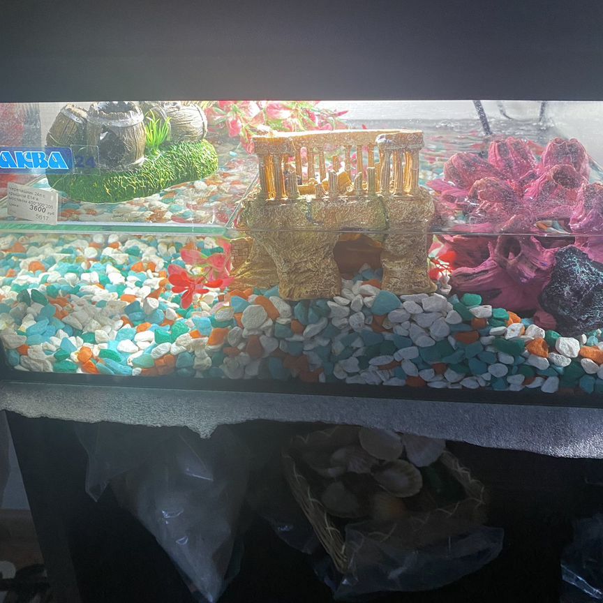 Аквариум с крабом вампиром и декорациями