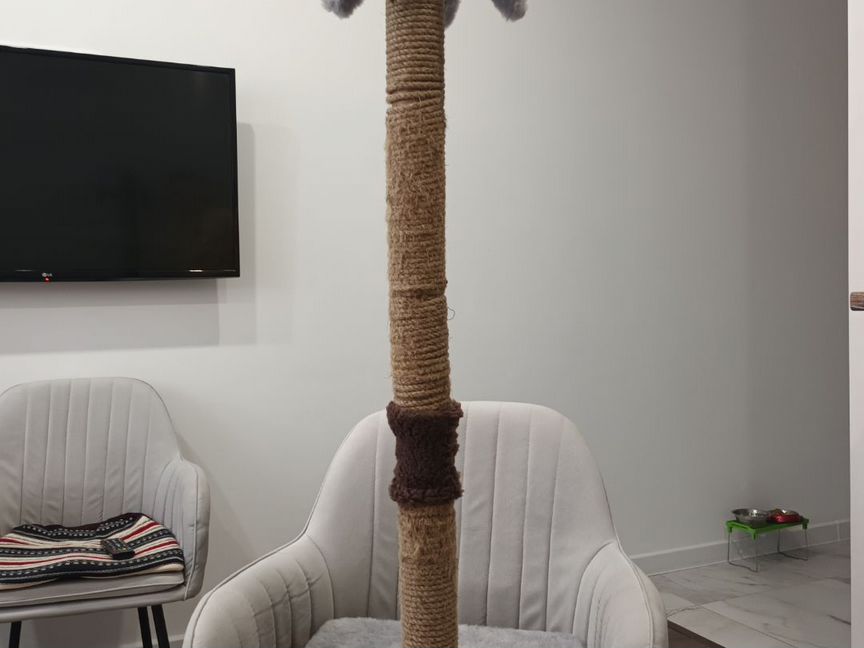 Когтеточка