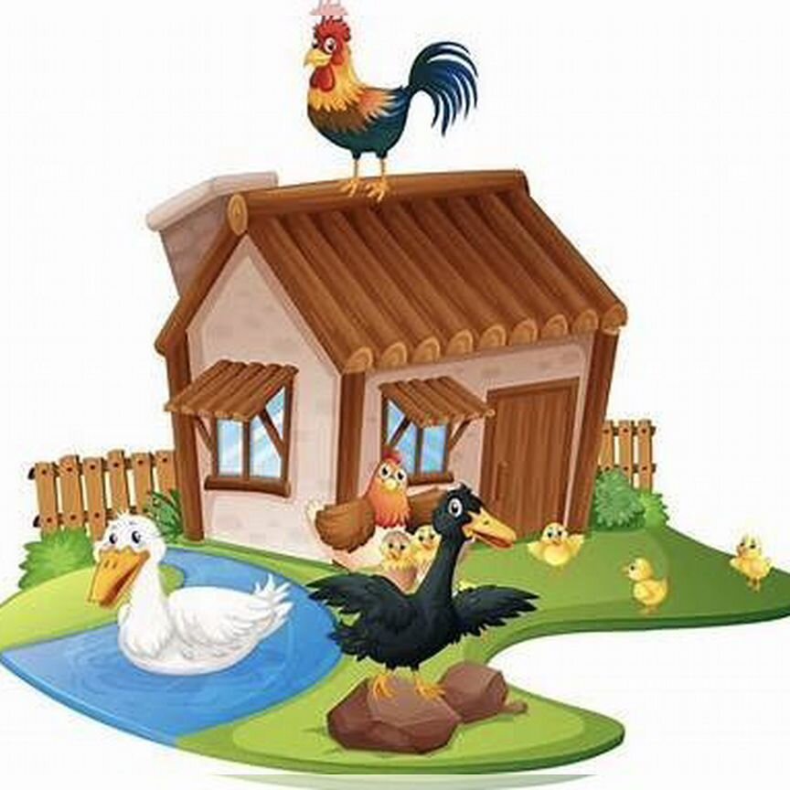 В продже Куры и Утки