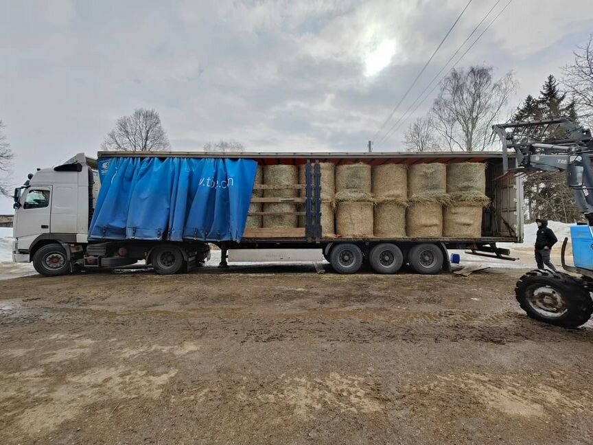 Сено в рулонах 2023 года оптом