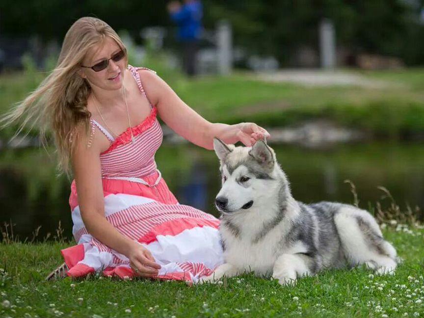 Питомник Загадка Сибири