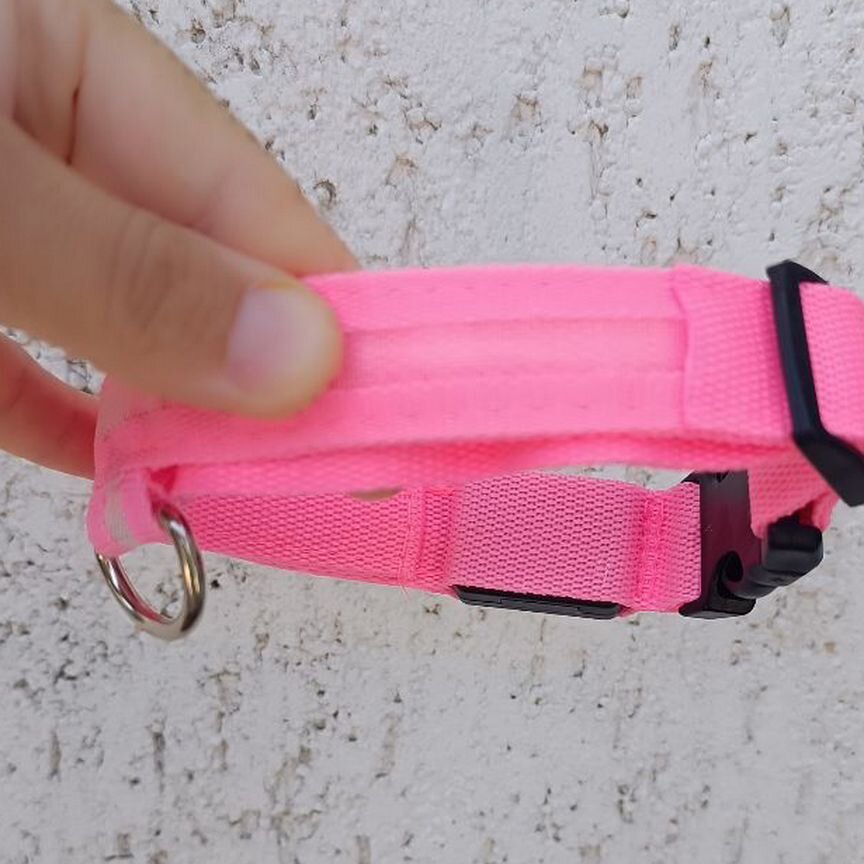 Ошейник и шлейка